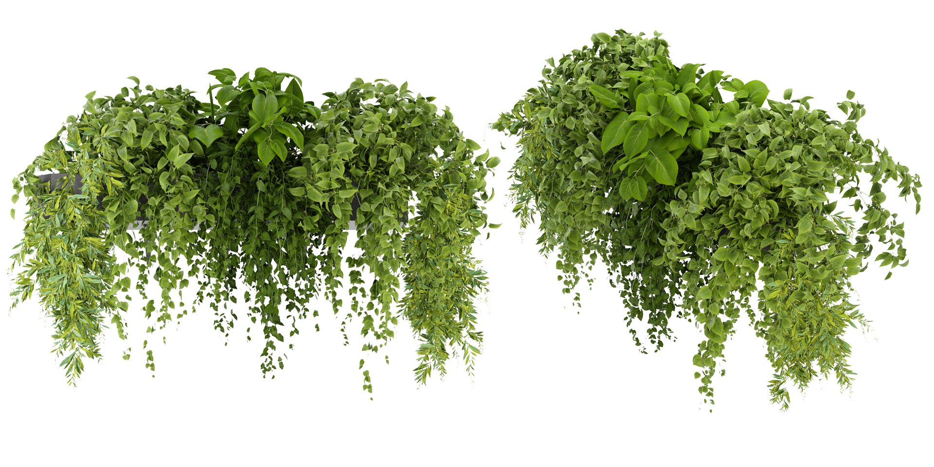 Collection Plant Vol 248 - Blender Model 3D Model - TurboSquid 2088262