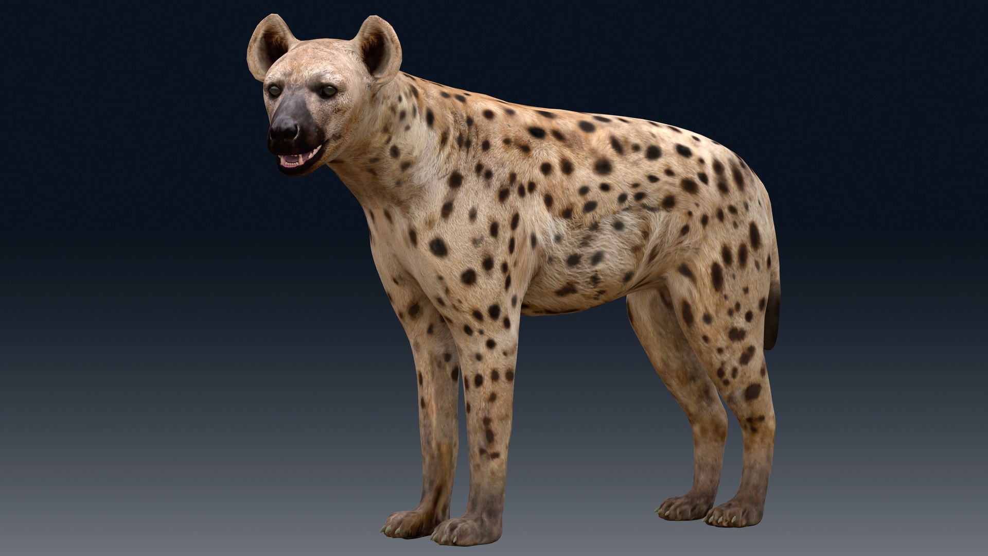 3D Hyena Rigged - TurboSquid 2037681