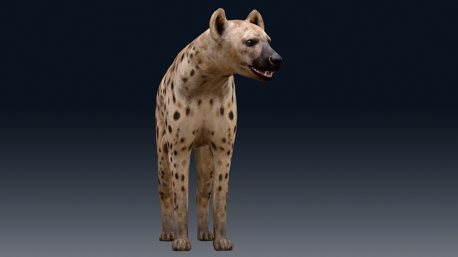 3D Hyena Rigged - TurboSquid 2037681