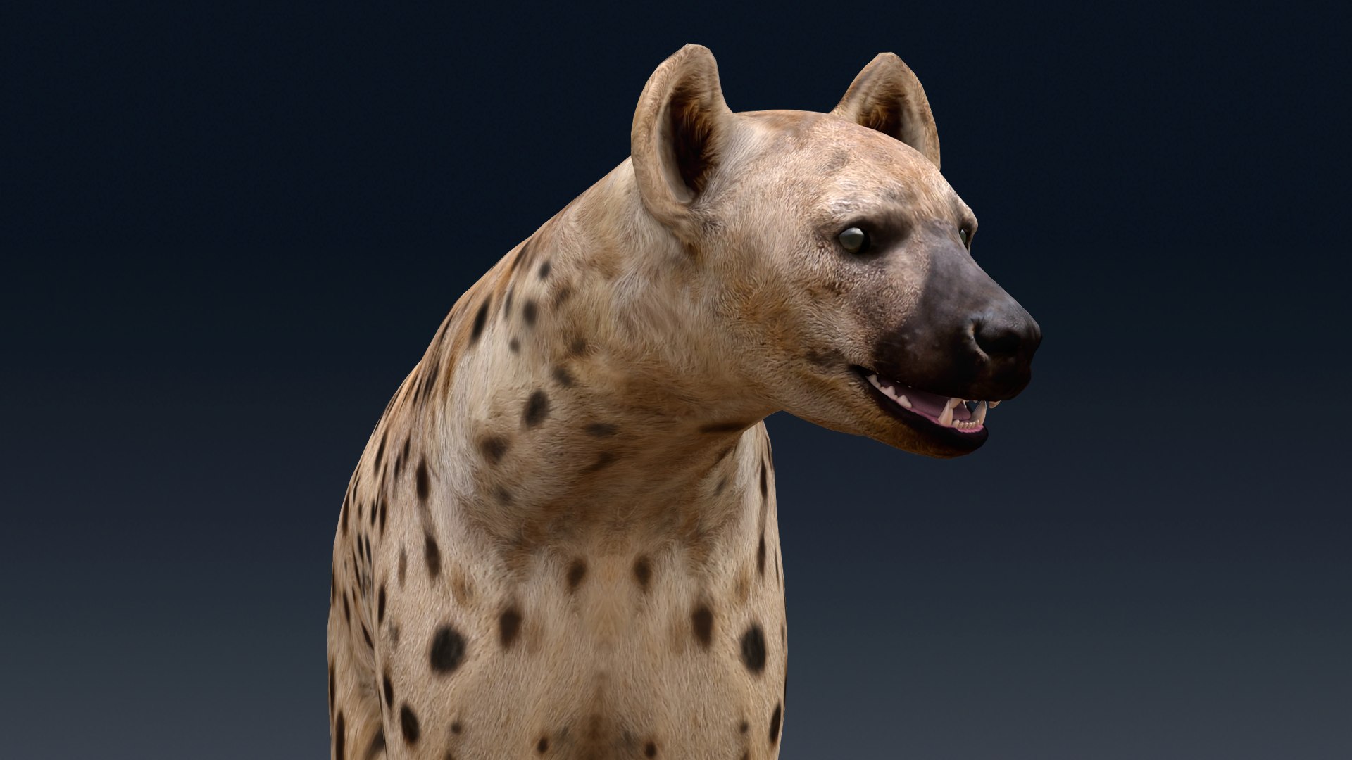 3D Hyena Rigged - TurboSquid 2037681