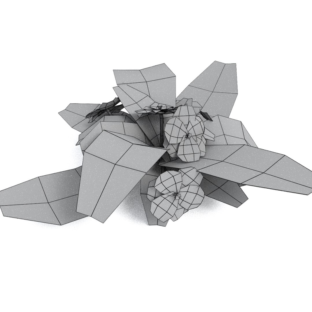 3d Model Of Realistic Primula