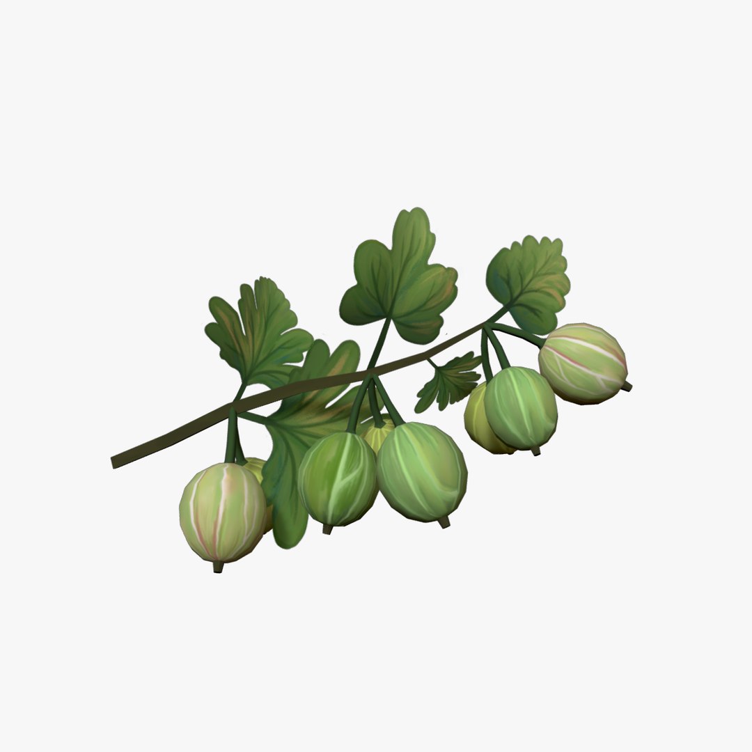 3D Gooseberry Sprig Stylized Plant - TurboSquid 2055160