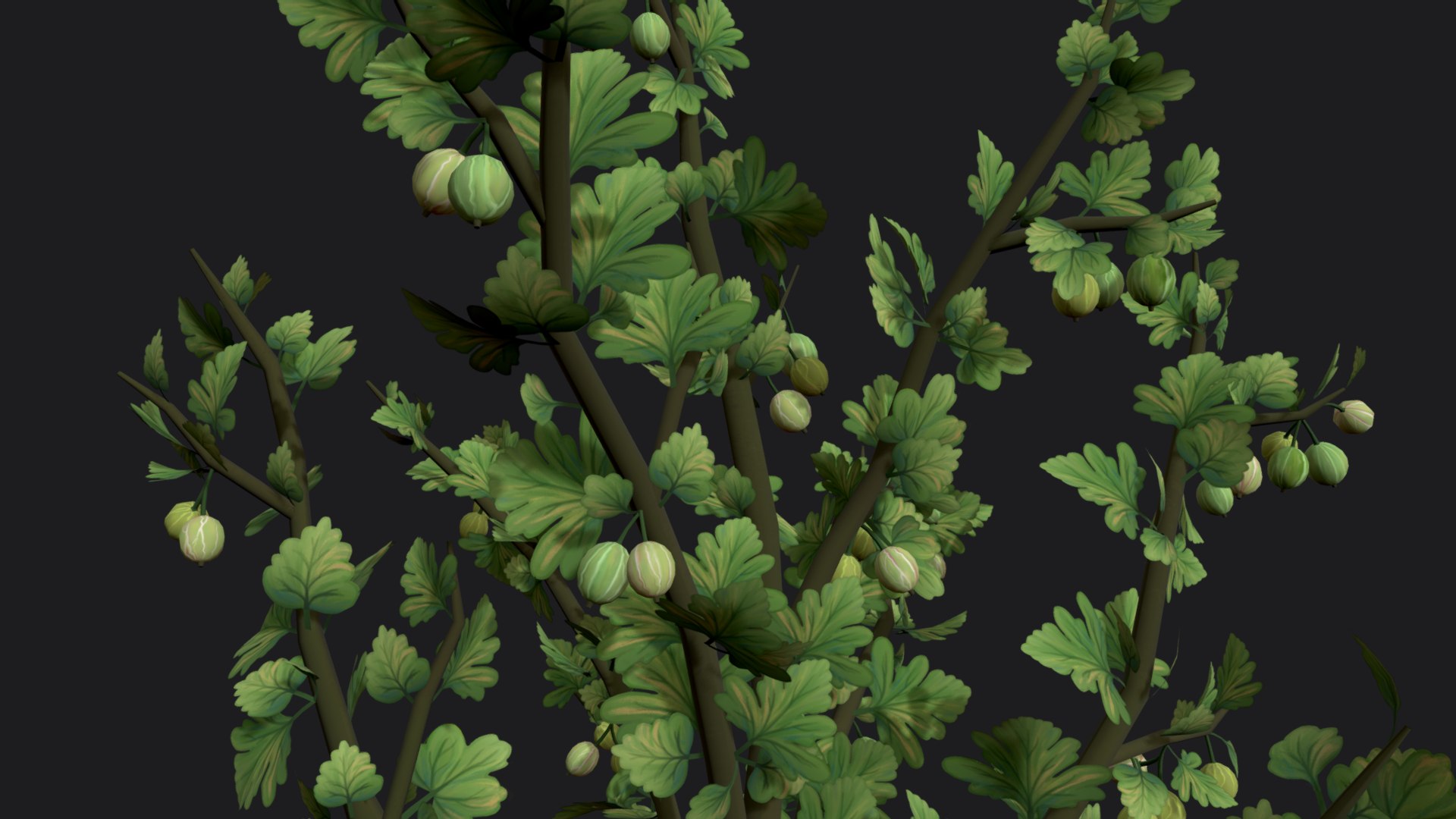3D Gooseberry Sprig Stylized Plant - TurboSquid 2055160