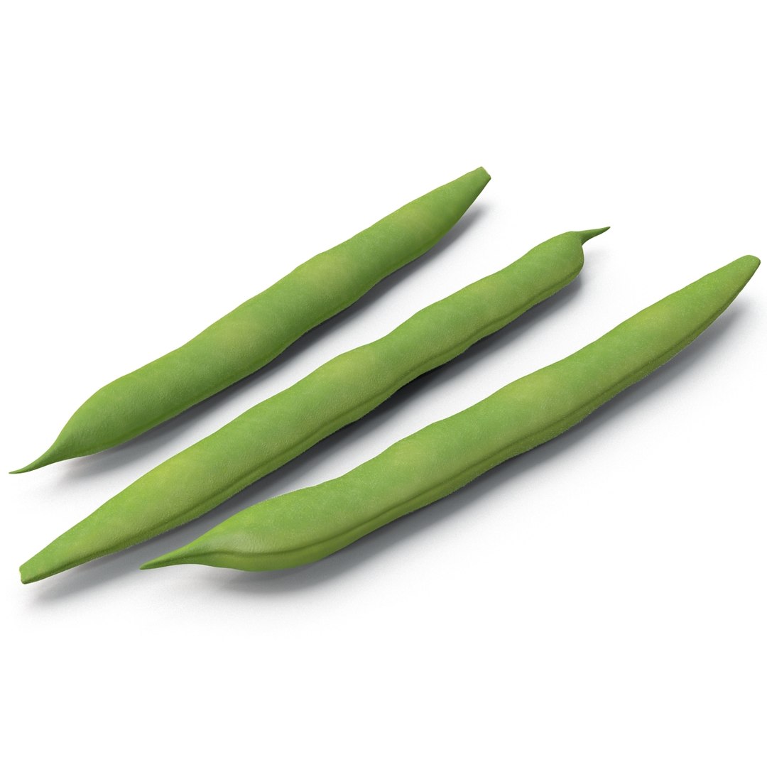3d Model Green Beans