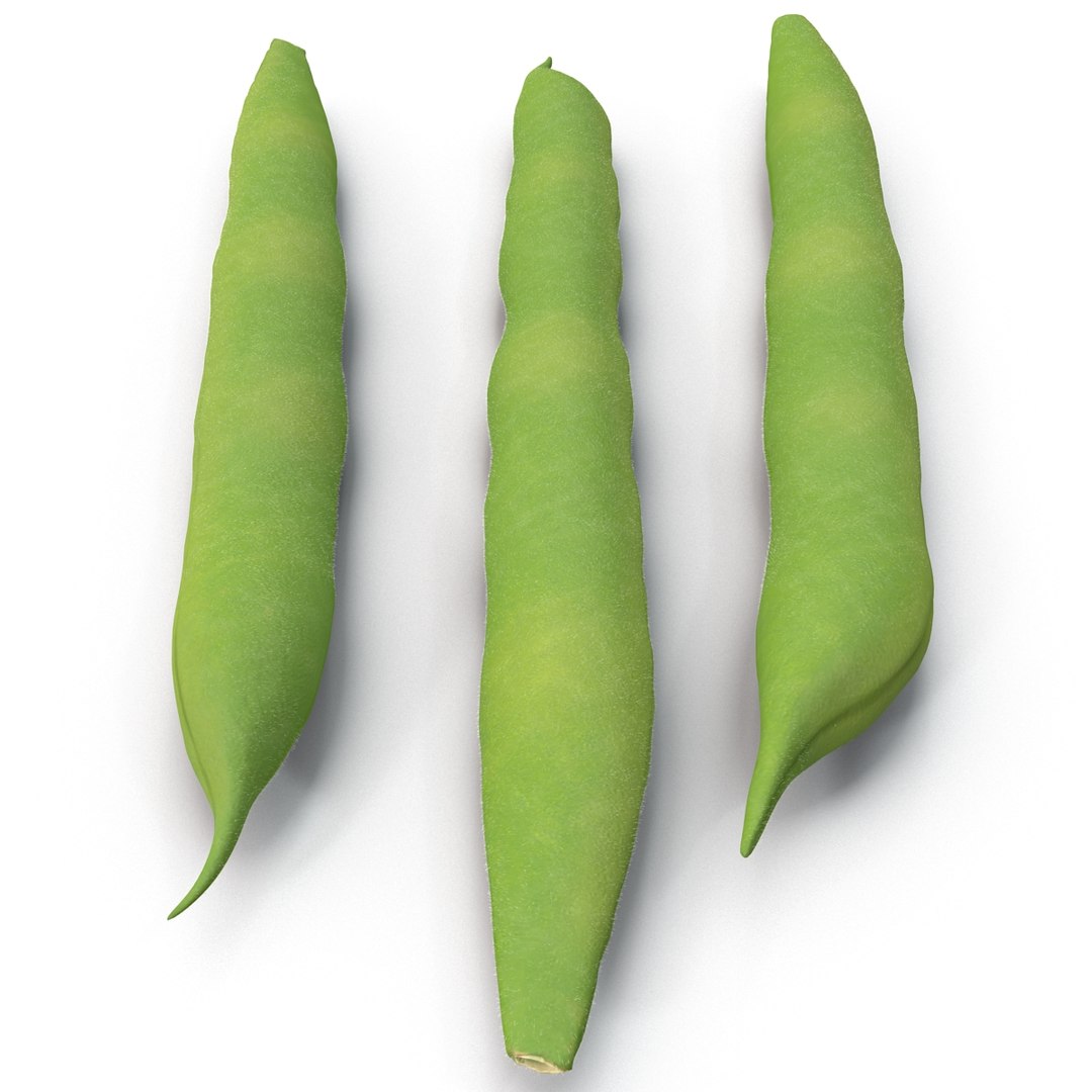 3d Model Green Beans