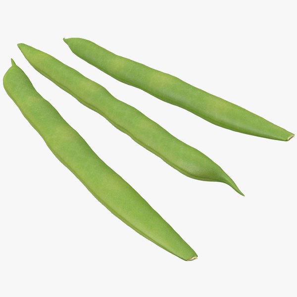 Green Beans 3D Models for Download | TurboSquid