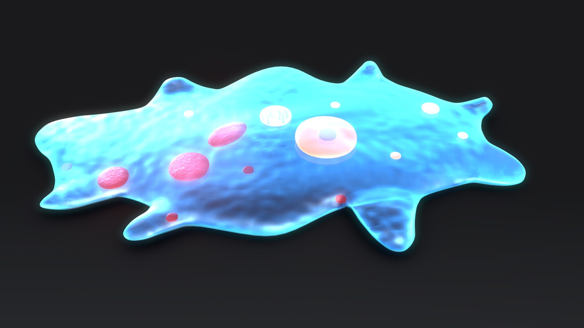 3d Amoeba Protists Organism
