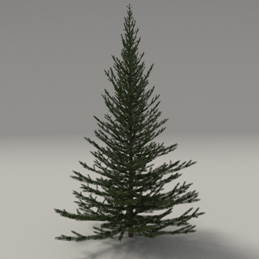 3d Model Firtree Blender