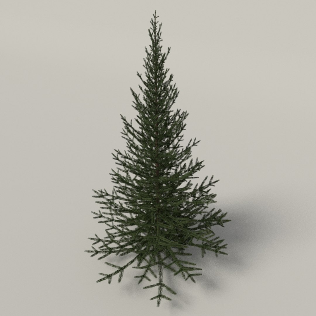 3d Model Firtree Blender