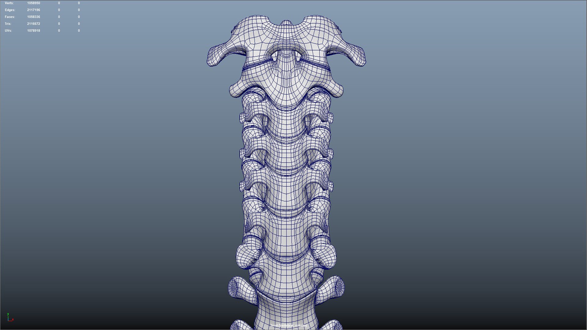 3D Model Human Vertebral Column - TurboSquid 1875504