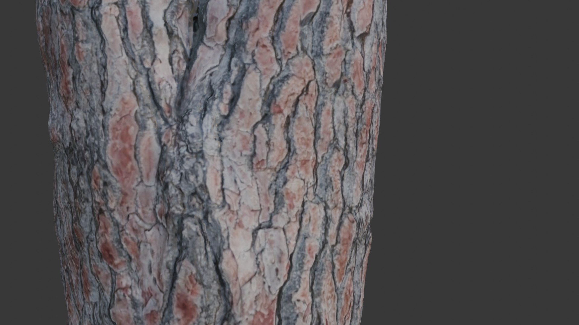 3D Split Pine Tree Trunk 3D Scan Model - TurboSquid 2395594