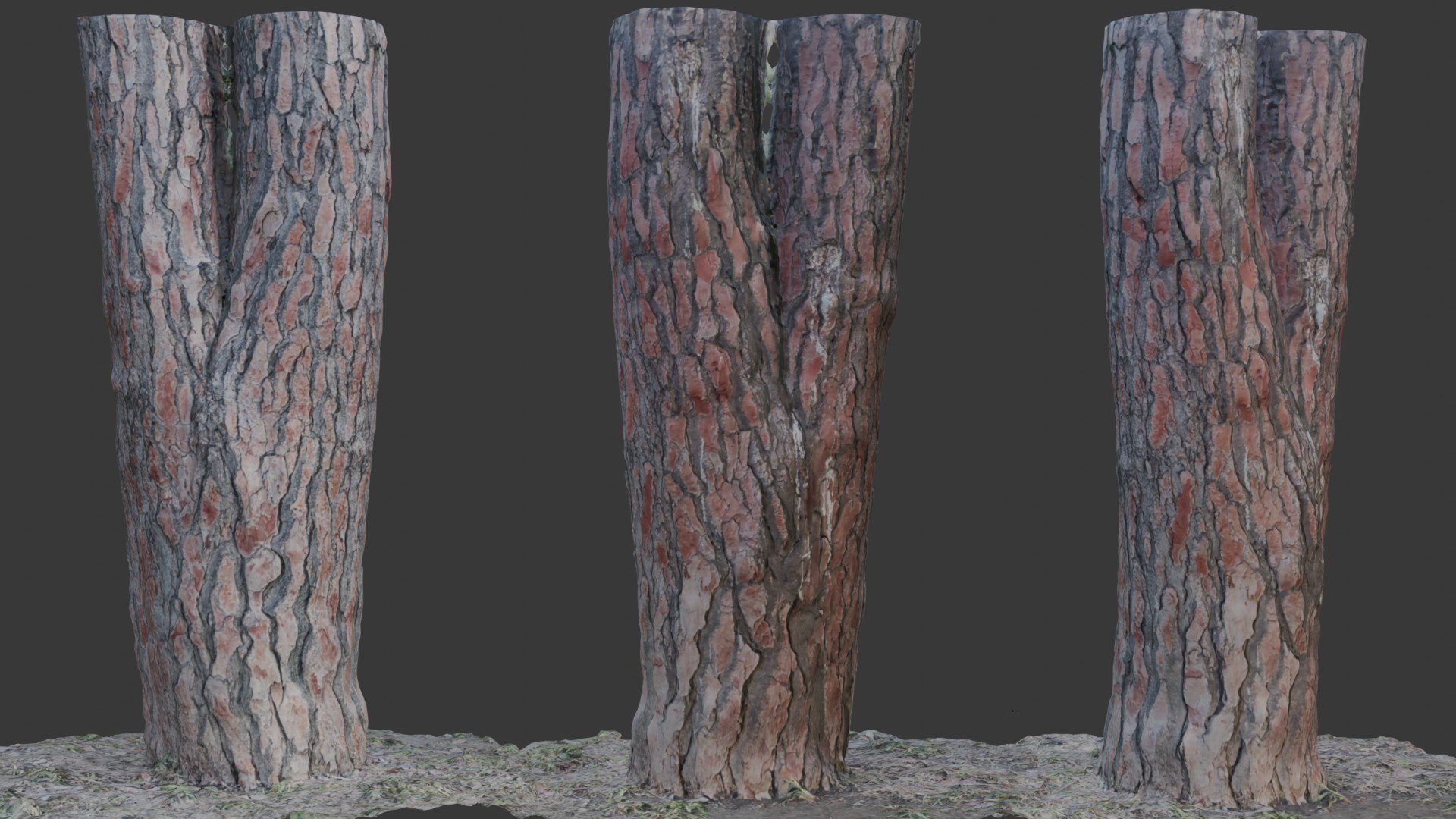 3D Split Pine Tree Trunk 3D Scan Model - TurboSquid 2395594