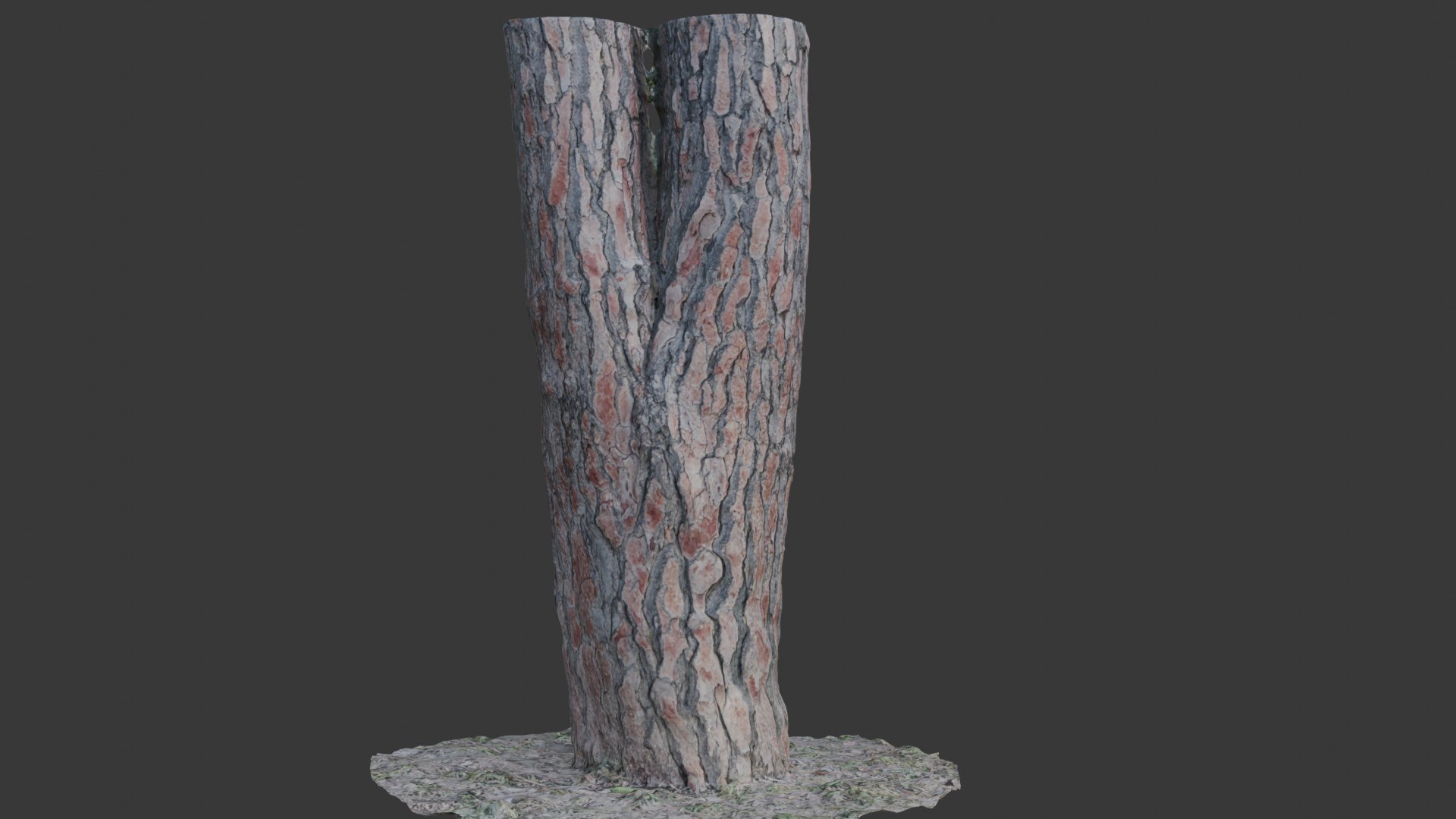3D Split Pine Tree Trunk 3D Scan Model - TurboSquid 2395594