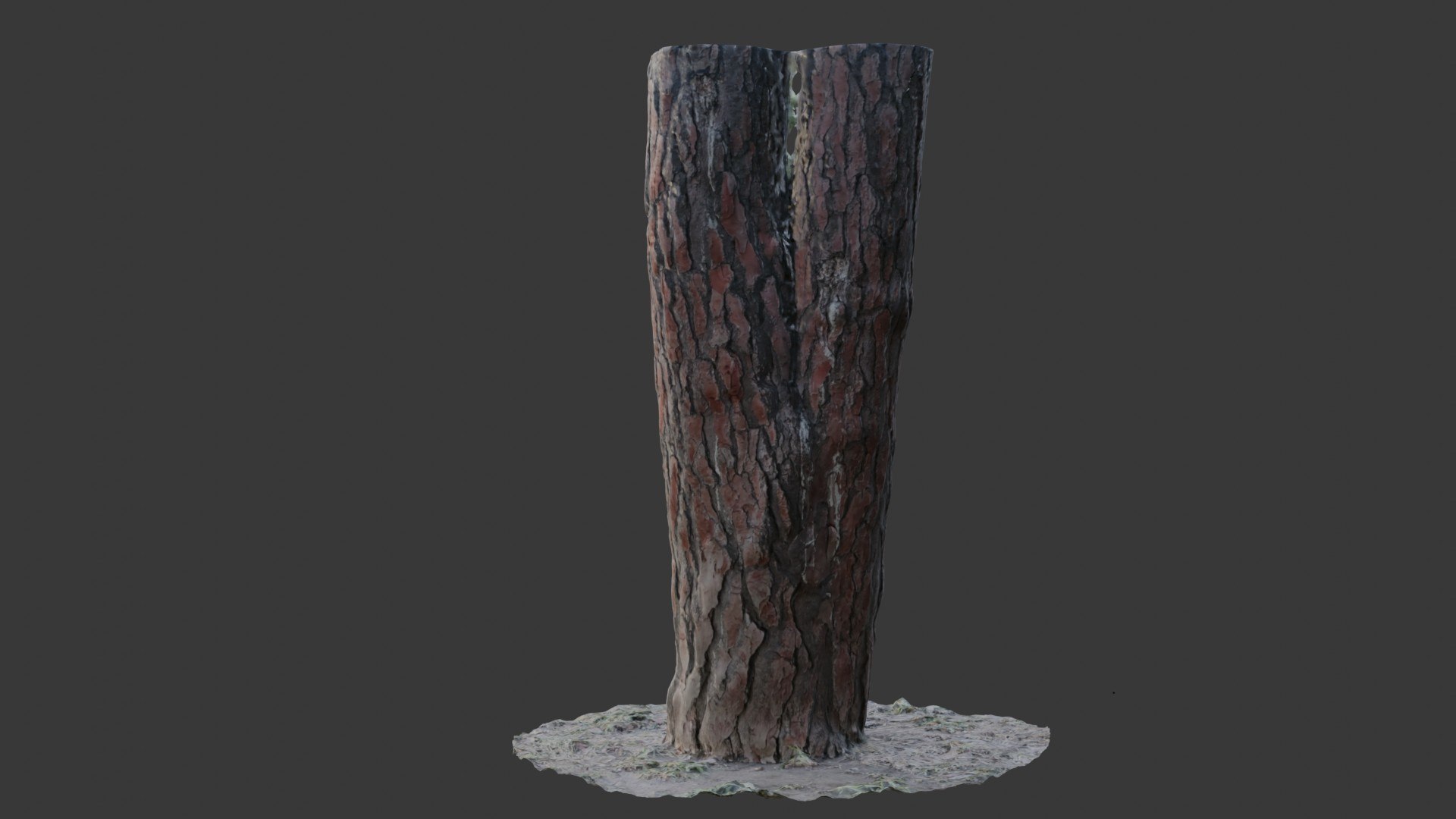 3D Split Pine Tree Trunk 3D Scan Model - TurboSquid 2395594