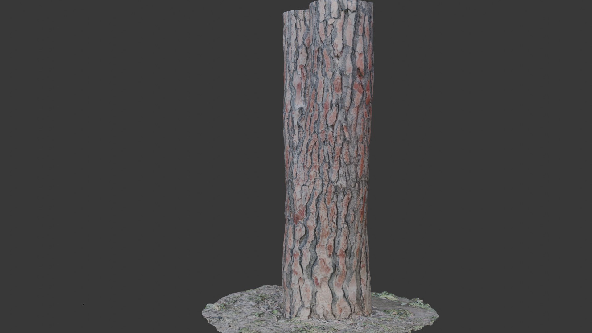 3D Split Pine Tree Trunk 3D Scan Model - TurboSquid 2395594