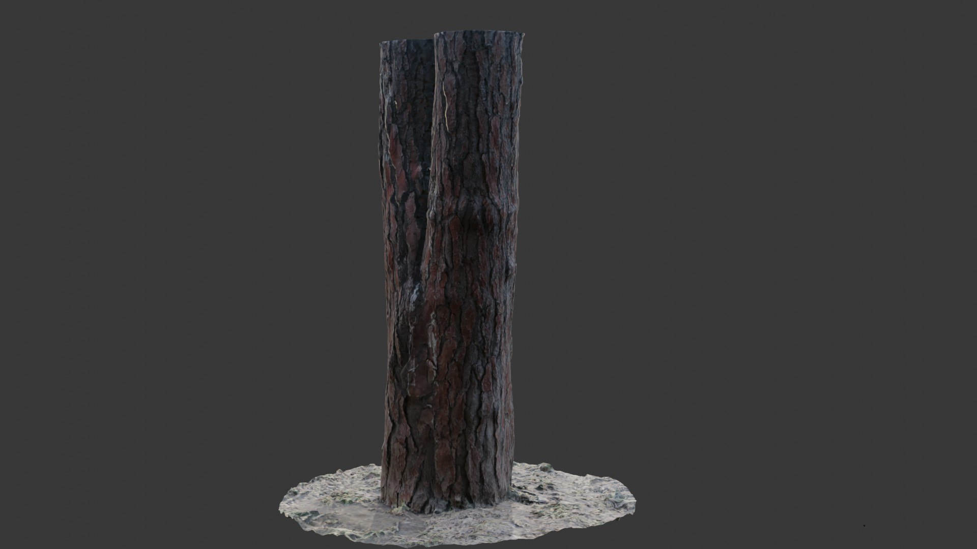 3D Split Pine Tree Trunk 3D Scan Model - TurboSquid 2395594