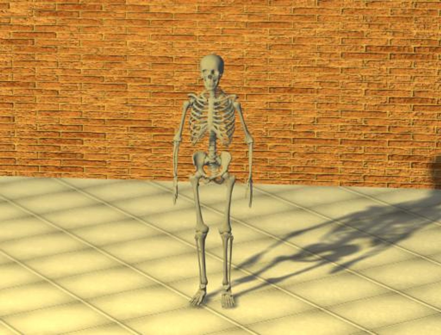Max Bones Skeleton
