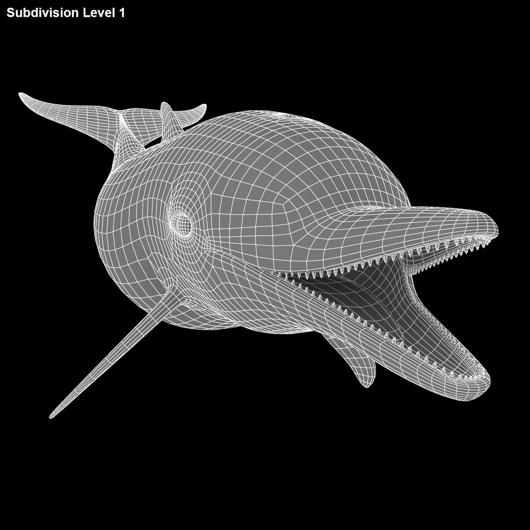 3d Model Realistic Dolphin Pose 3