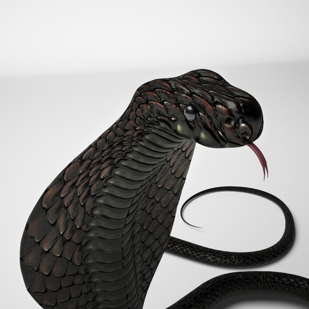 King Cobra 3D Model - TurboSquid 1367214