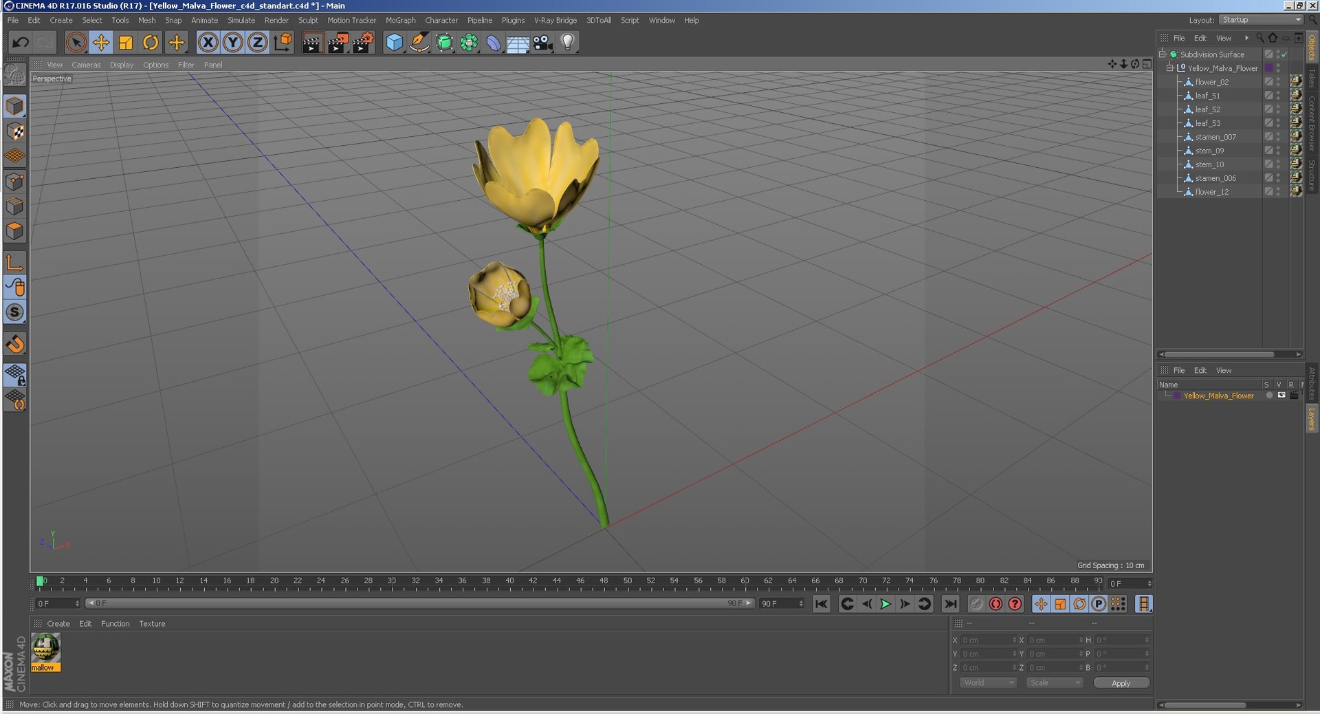 3D Yellow Malva Flower - TurboSquid 1622042