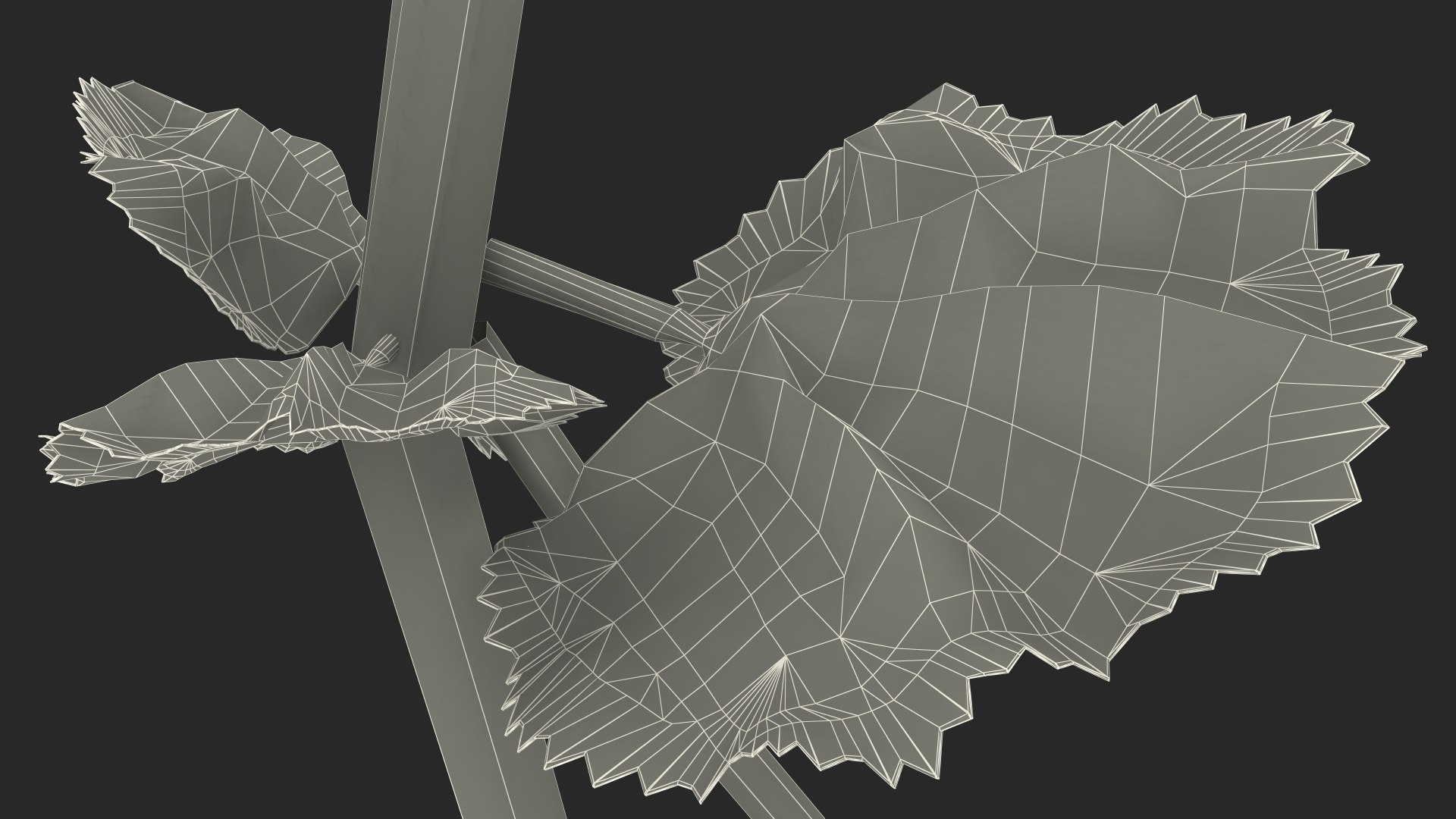 3D Yellow Malva Flower - TurboSquid 1622042