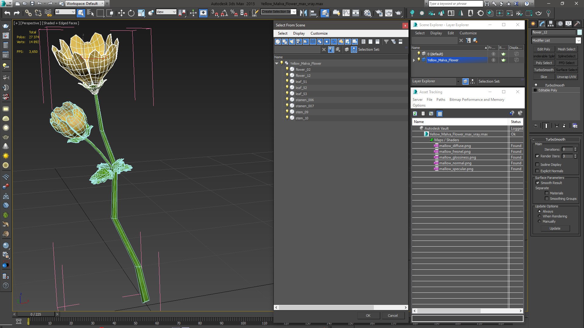3D Yellow Malva Flower - TurboSquid 1622042