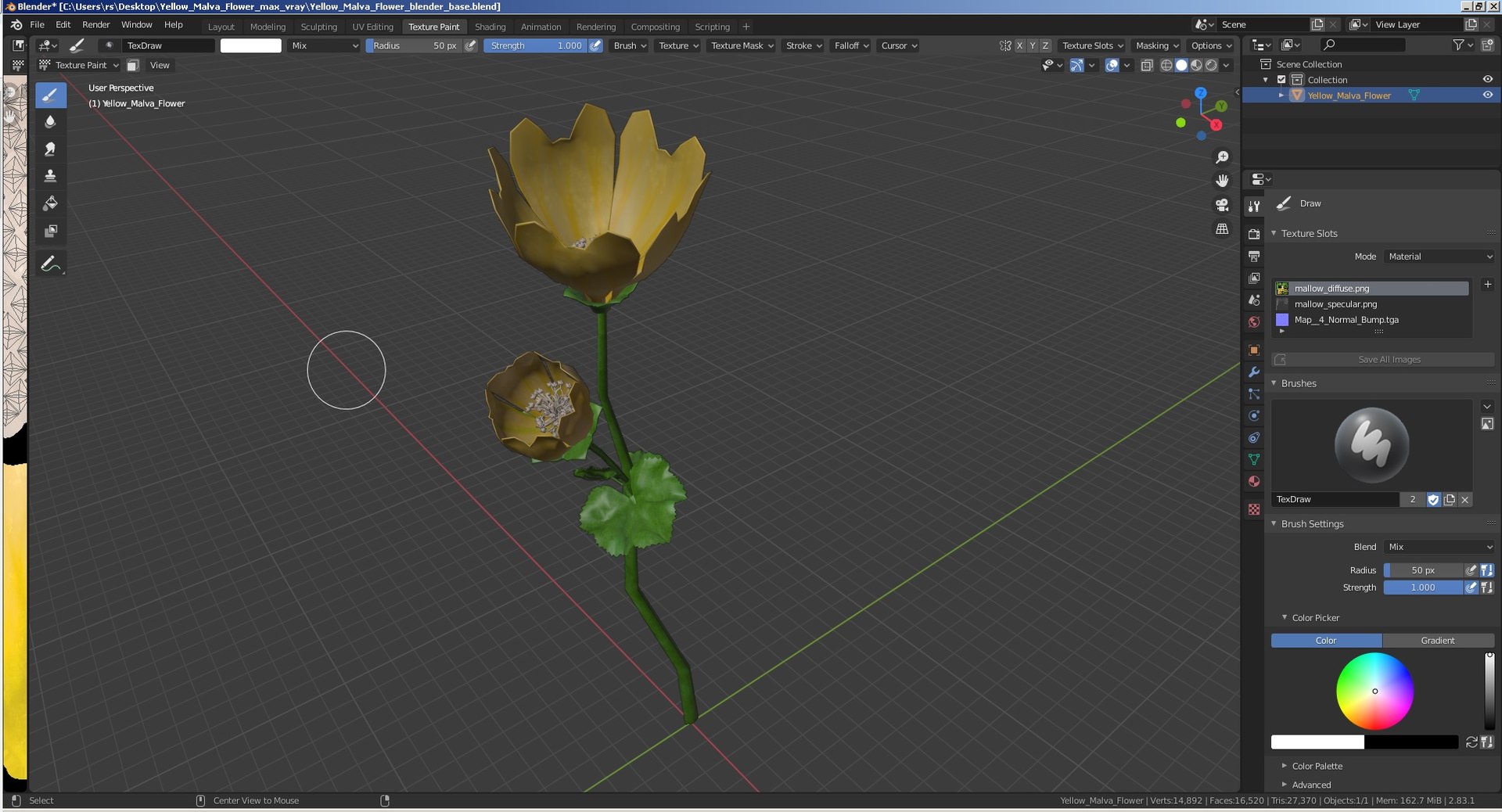 3D Yellow Malva Flower - TurboSquid 1622042