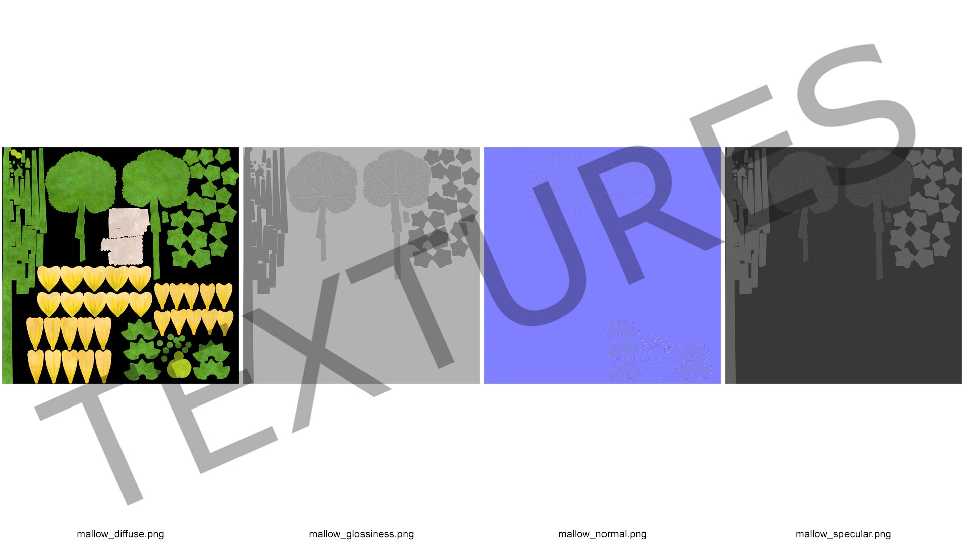 3D Yellow Malva Flower - TurboSquid 1622042