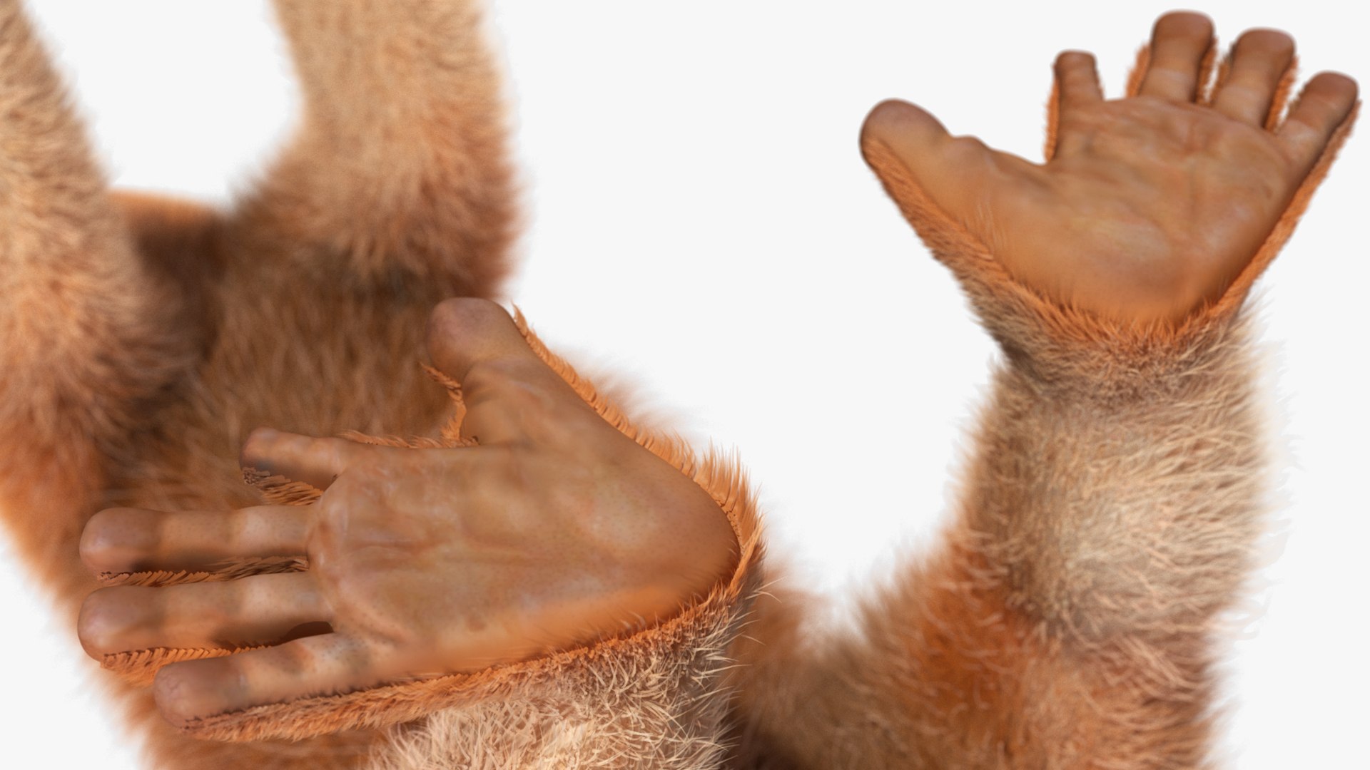 3D Model Lemur Slow Loris Fur - TurboSquid 2141000