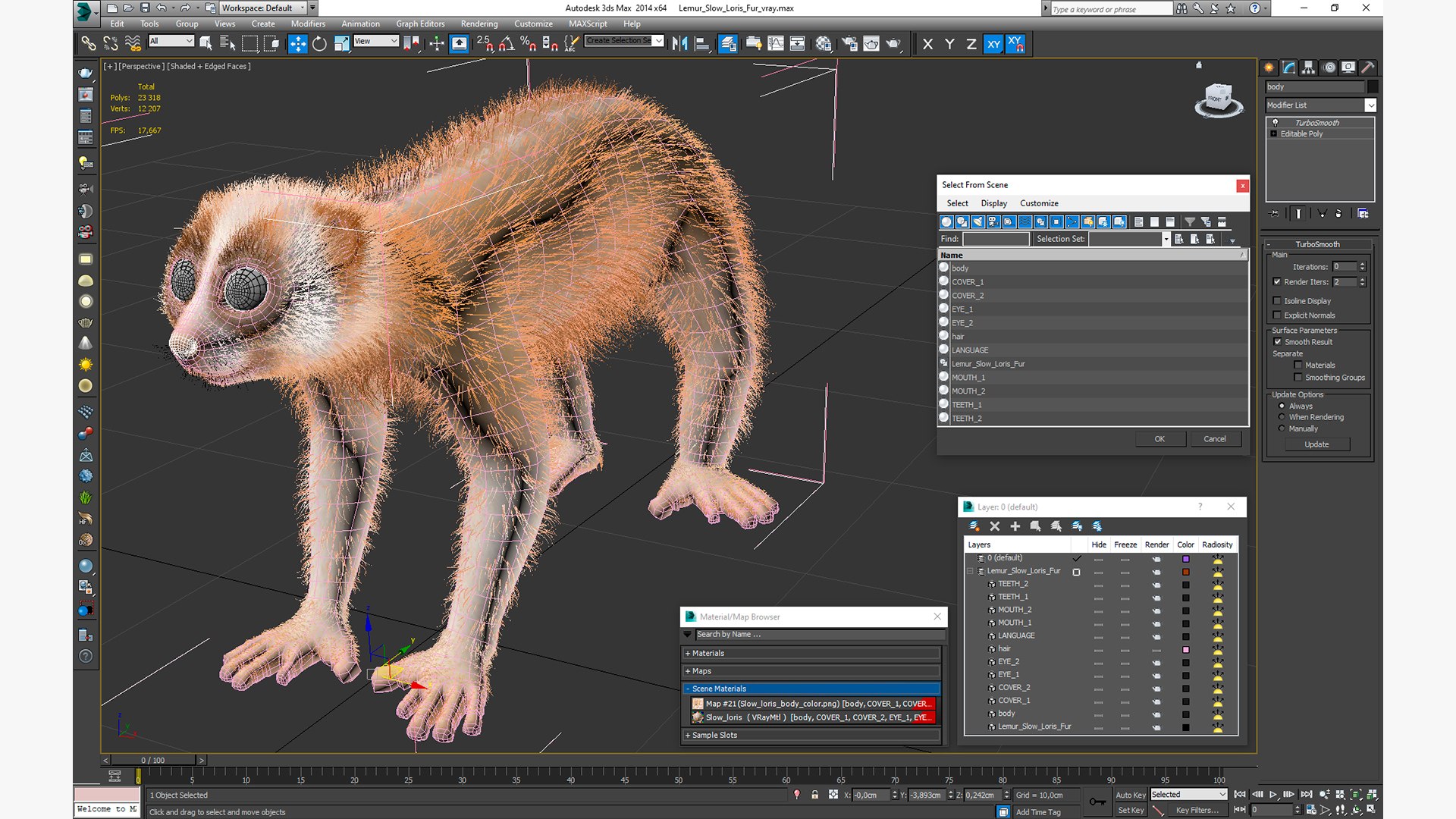3D Model Lemur Slow Loris Fur - TurboSquid 2141000