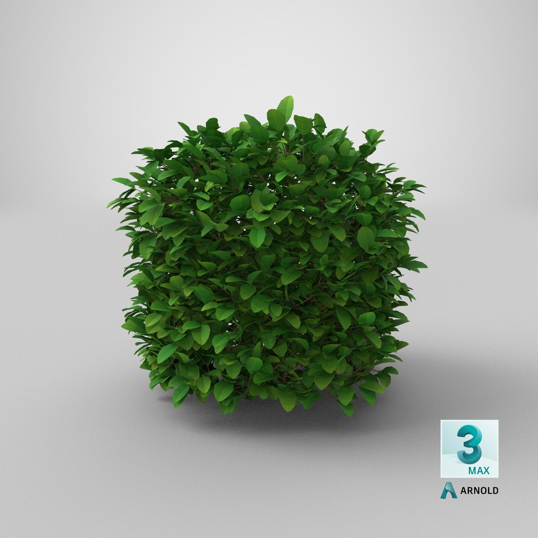 Cartoon Bush 07 3D Model - TurboSquid 1941425