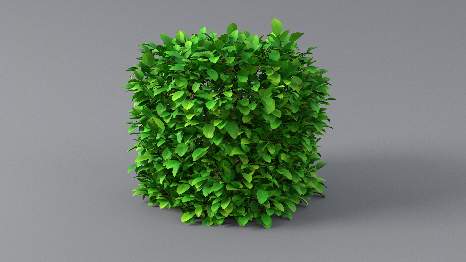 Cartoon Bush 07 3D Model - TurboSquid 1941425