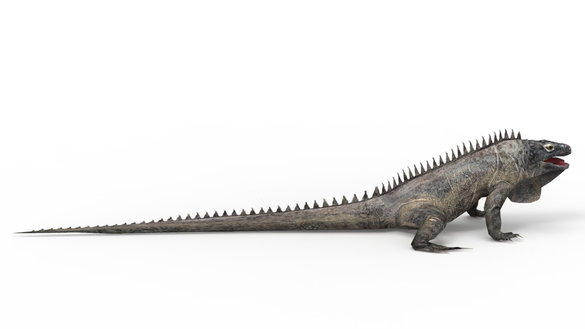 Photorealistic iguana model - TurboSquid 1534271