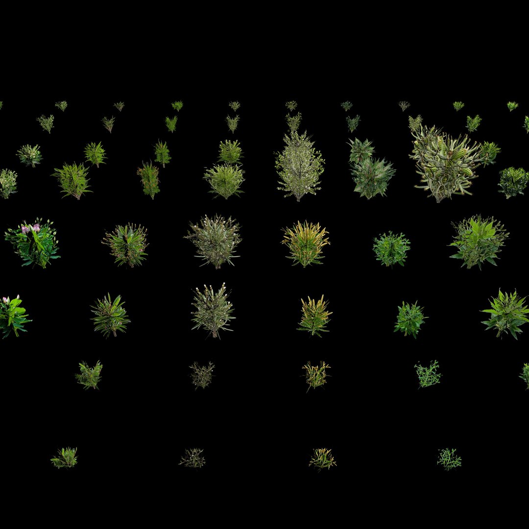 3D Valars Plant Pack Model - TurboSquid 2272193