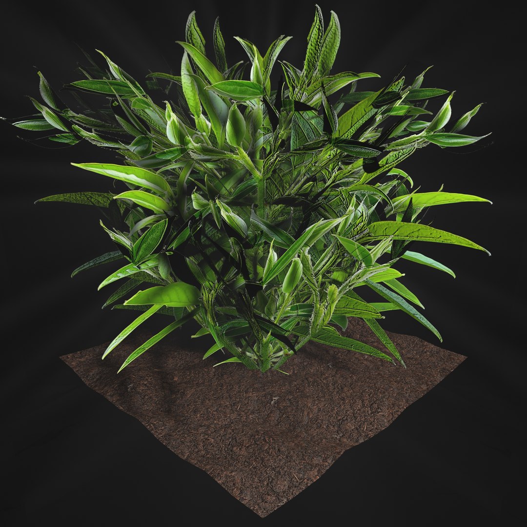 3D Valars Plant Pack Model - TurboSquid 2272193