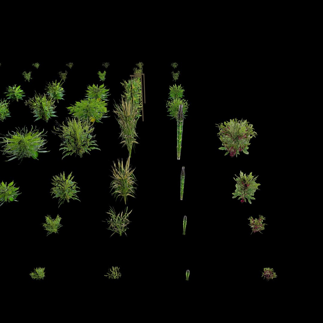 3D Valars Plant Pack Model - TurboSquid 2272193