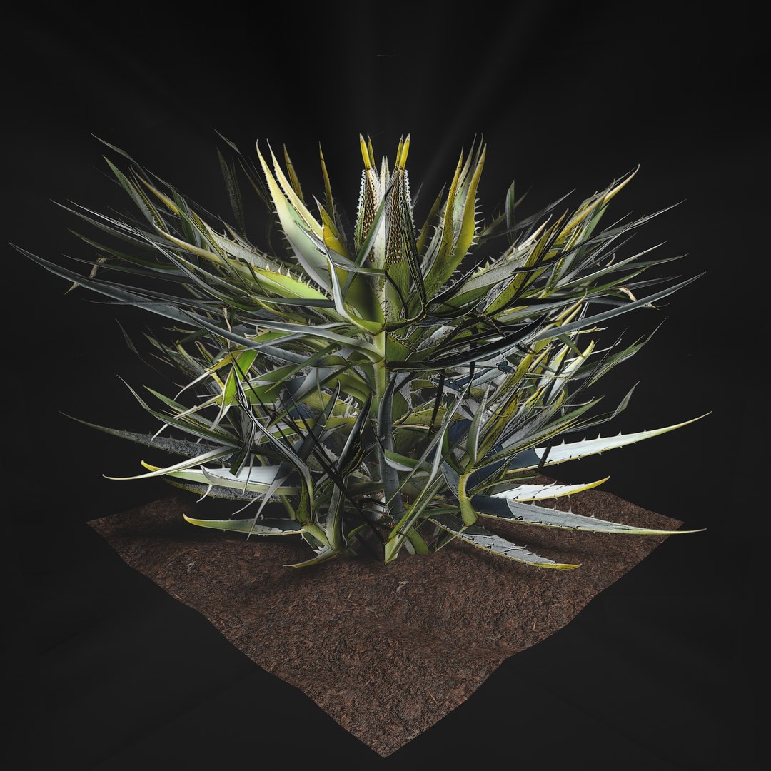 3D Valars Plant Pack Model - TurboSquid 2272193