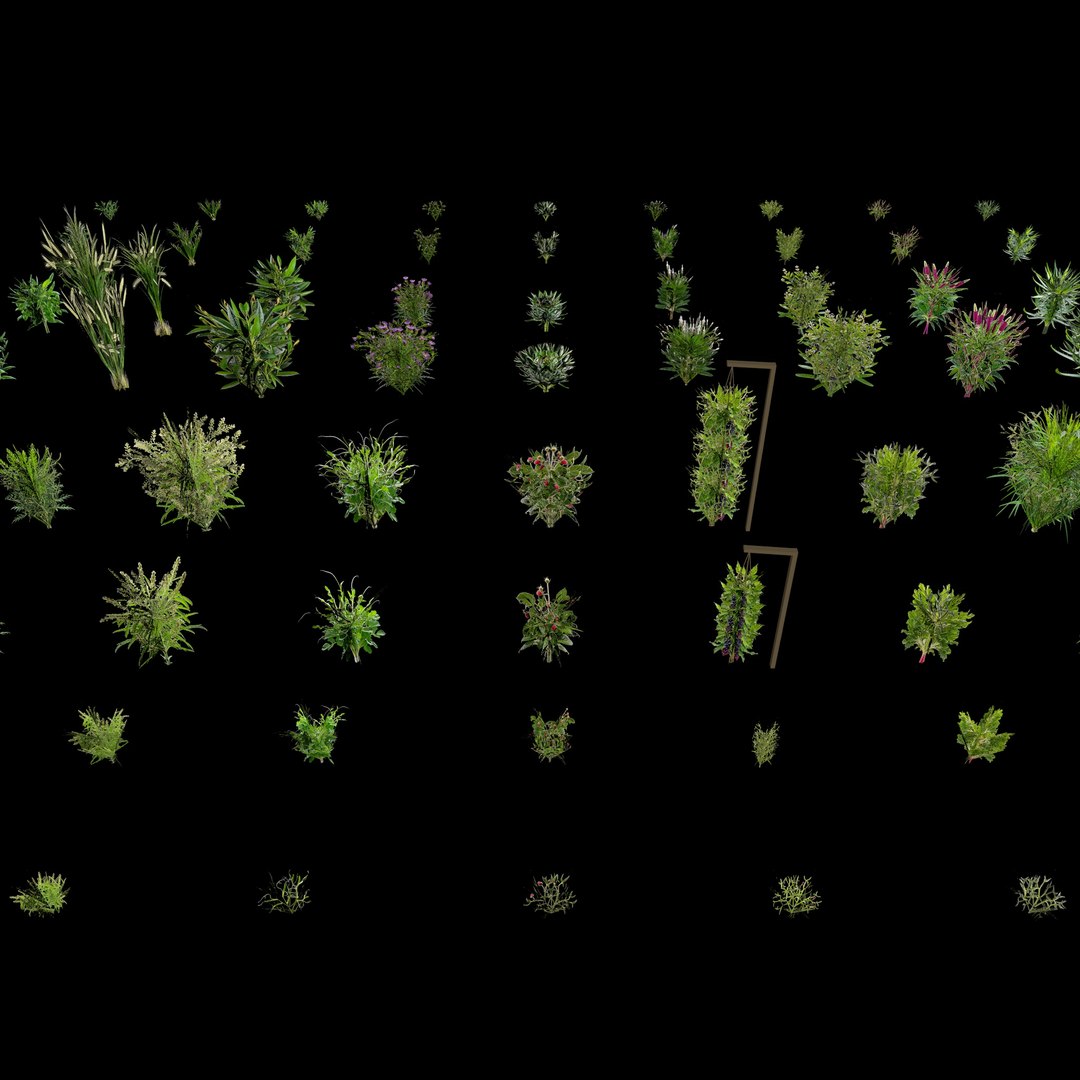 3D Valars Plant Pack Model - TurboSquid 2272193