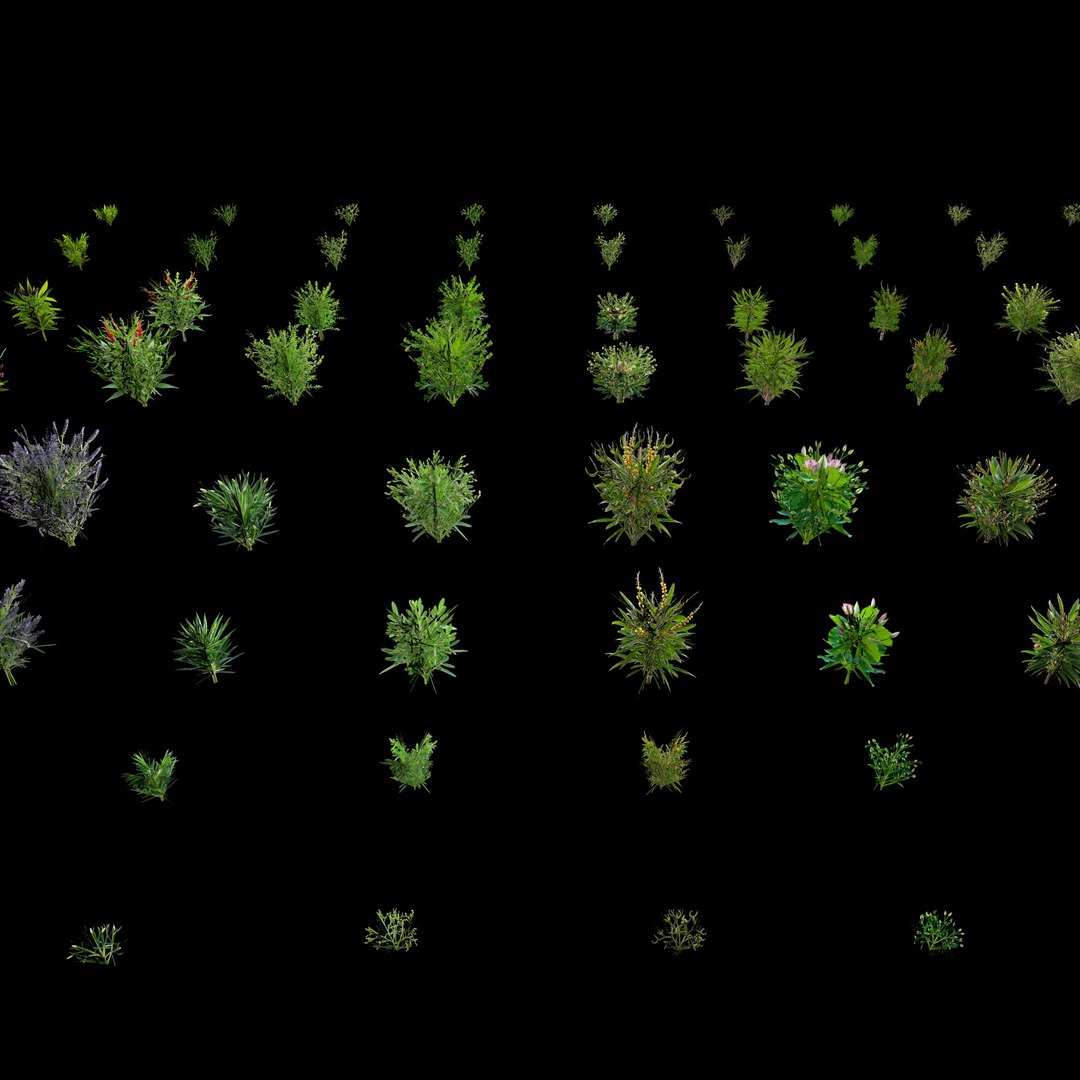 3D Valars Plant Pack Model - TurboSquid 2272193