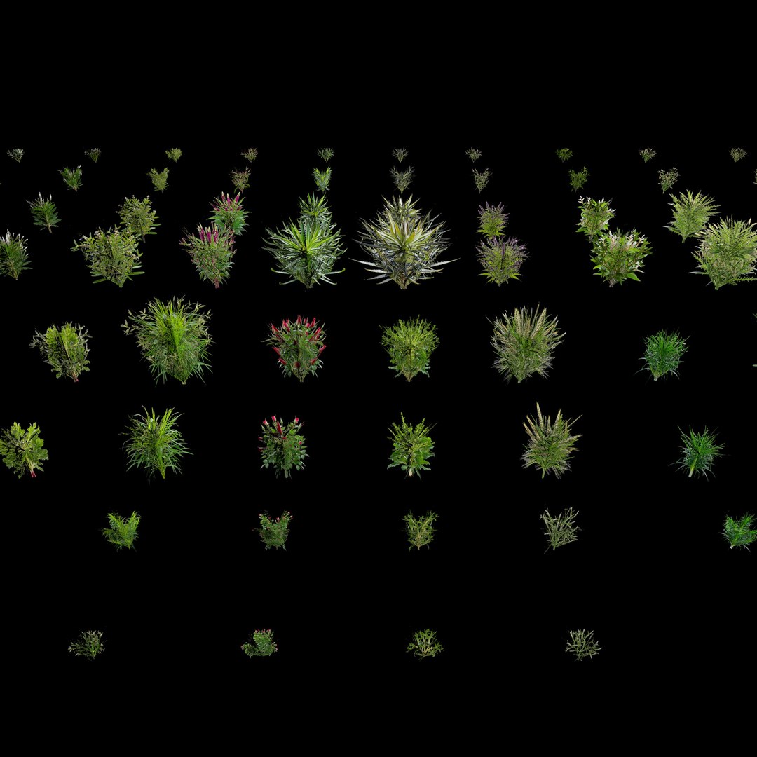 3D Valars Plant Pack Model - TurboSquid 2272193