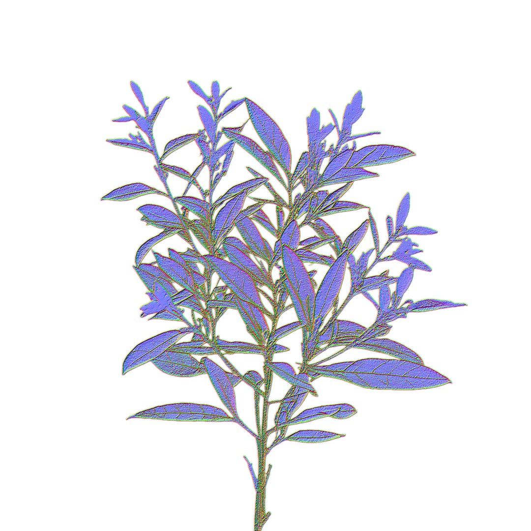 3D Valars Plant Pack Model - TurboSquid 2272193