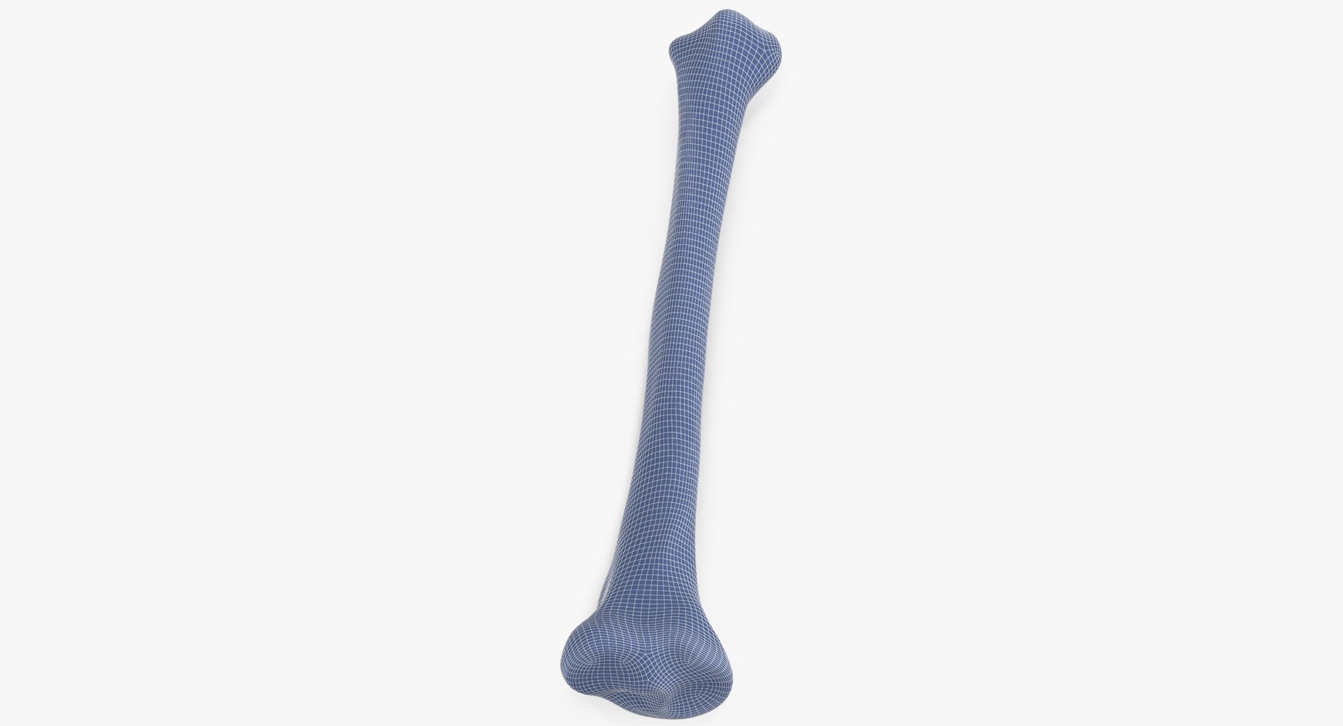 3D Human Tibia Bone 01 Model - TurboSquid 1422288