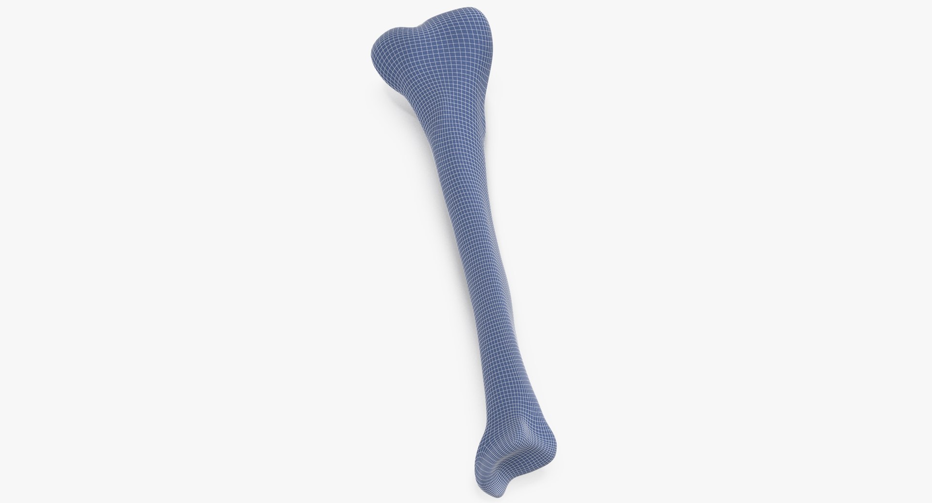 3D Human Tibia Bone 01 Model - TurboSquid 1422288