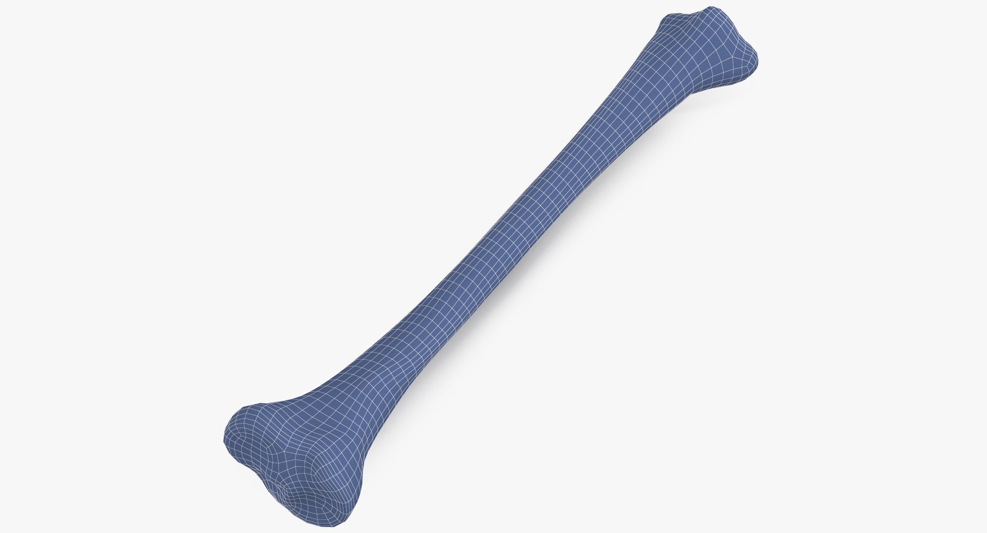 3d Human Tibia Bone 01 Model Turbosquid 1422288