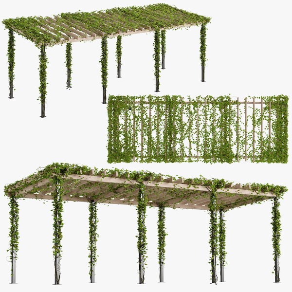 modelo 3d Pérgola con hiedra v10 - TurboSquid 2044202