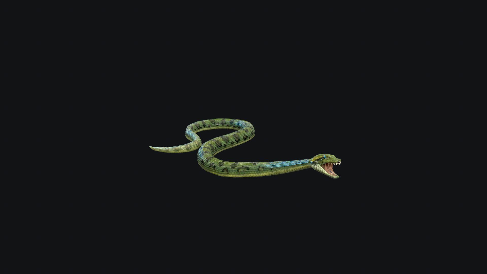 3D Anaconda Animation - TurboSquid 2006289