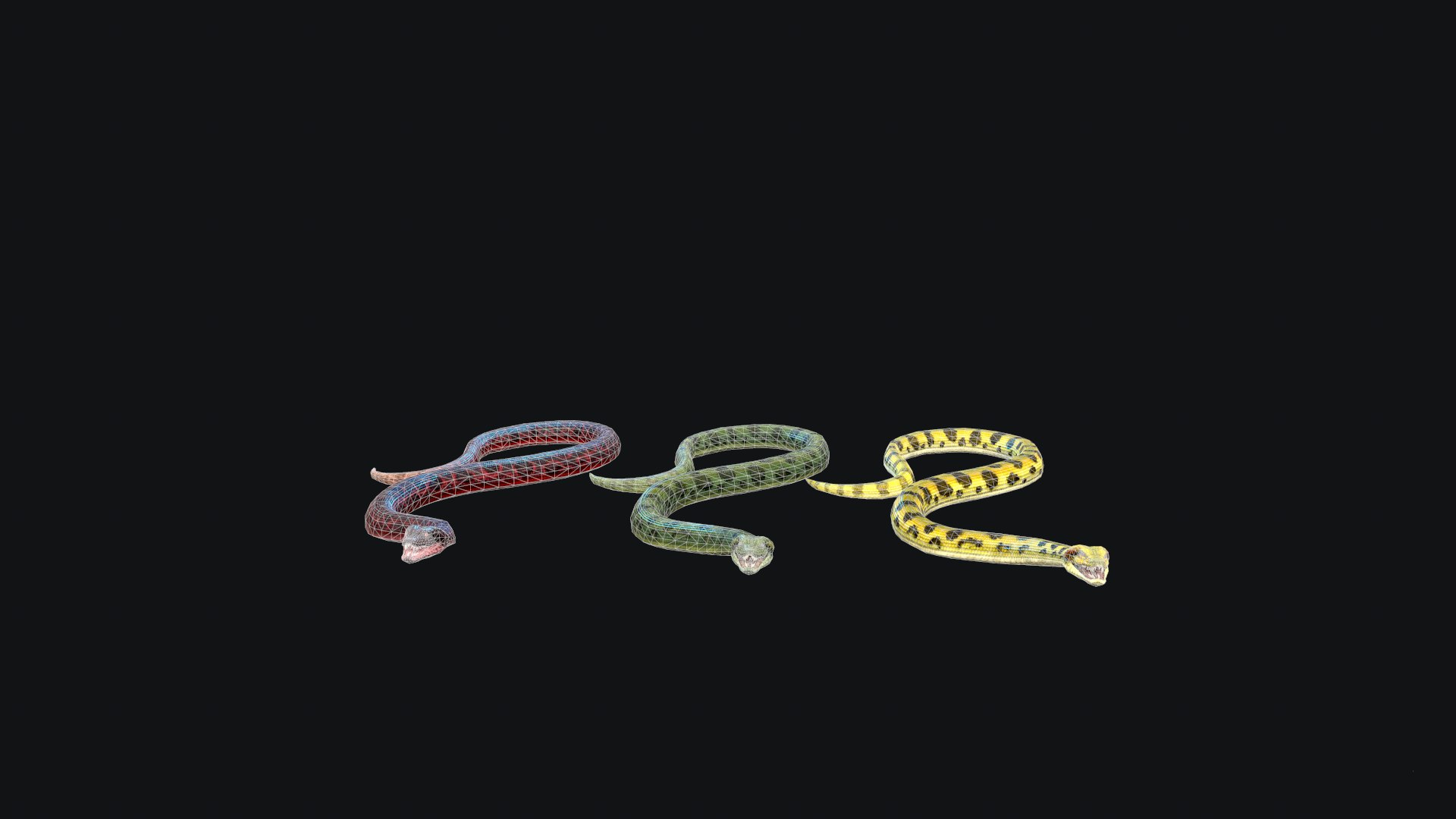 3D Anaconda Animation - TurboSquid 2006289