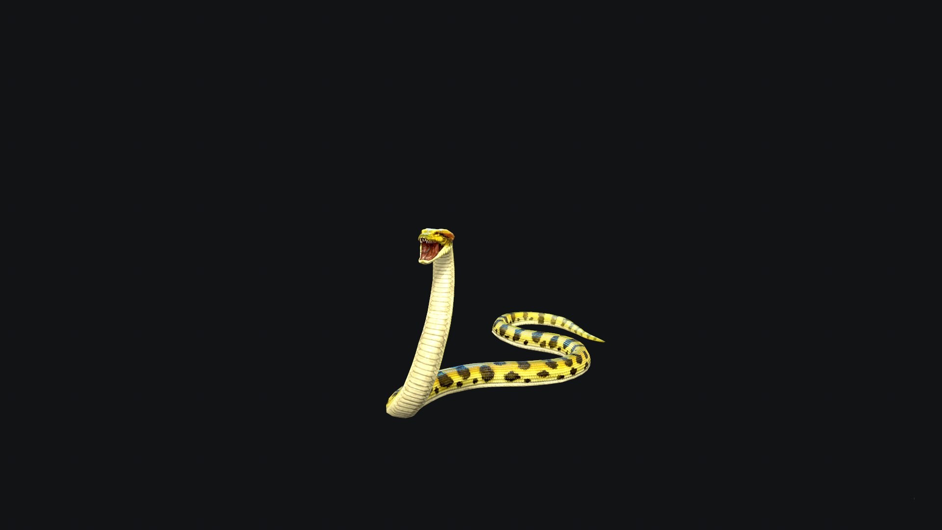 3D Anaconda Animation - TurboSquid 2006289