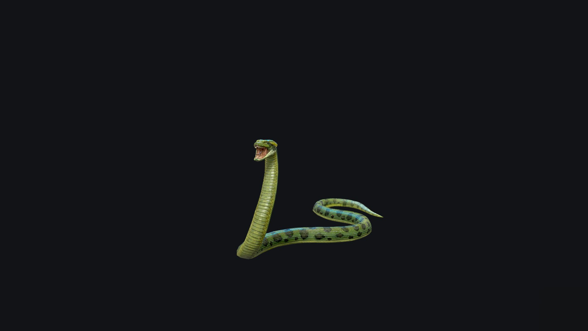3D Anaconda Animation - TurboSquid 2006289