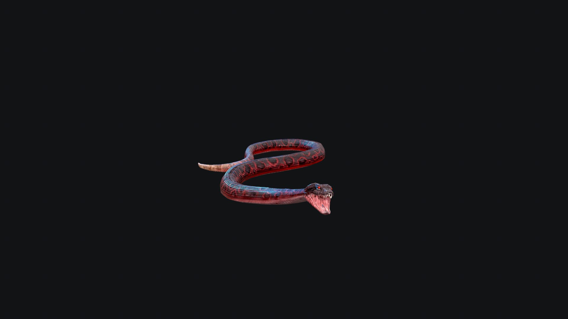 3D Anaconda Animation - TurboSquid 2006289